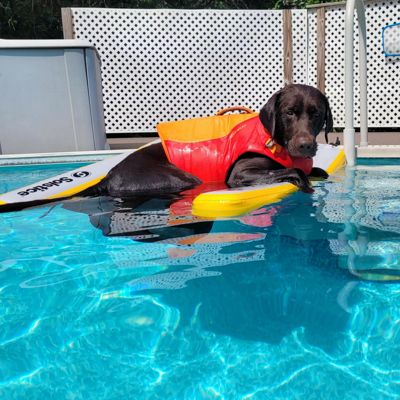 Solstice Pool Floats — Nonstop Swim